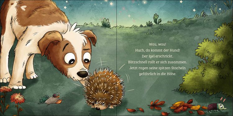 "Mein erstes Naturbuch - Der Igel" online kaufen