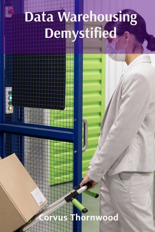 "Data Warehousing Demystified" auf Englisch kaufen