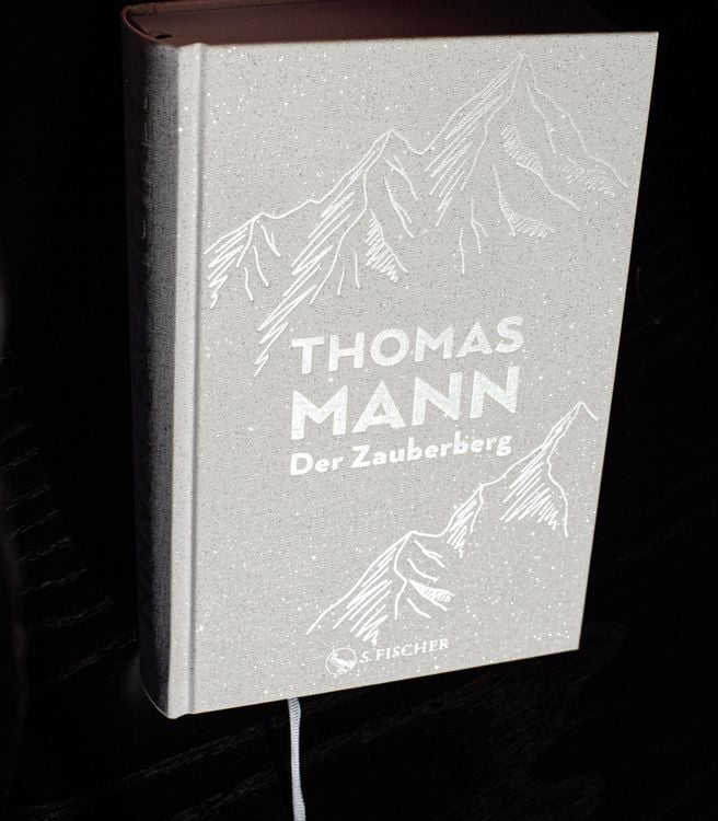 "Der Zauberberg" online kaufen