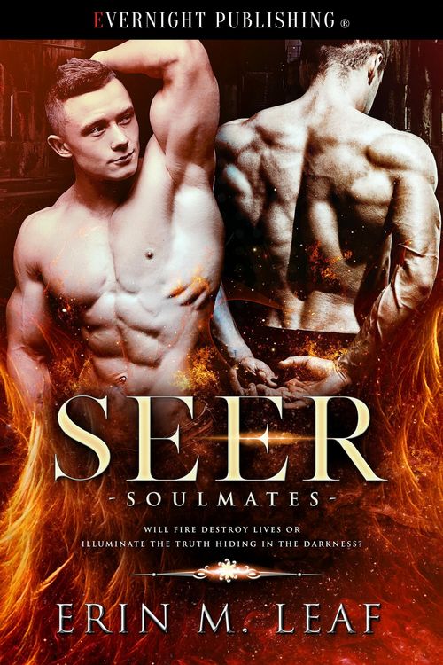 "Seer (Soulmates, #2)" als eBook kaufen