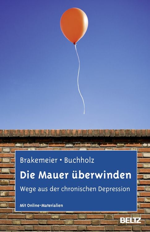 "Die Mauer überwinden" online kaufen