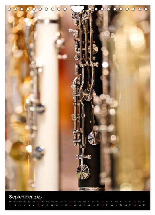 "The World of Musical Instruments (Wall Calendar 2025 DIN A4 portrait ...