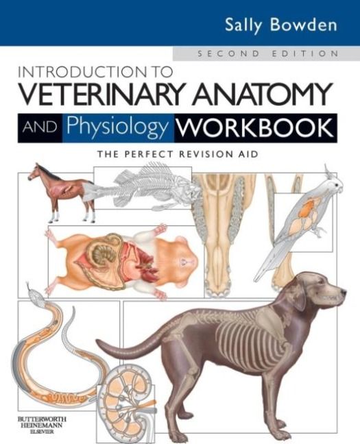 "Introduction to Veterinary Anatomy and Physiology Workbook" auf ...
