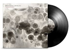 Understories von Julia Ulehla (Vinyl) kaufen