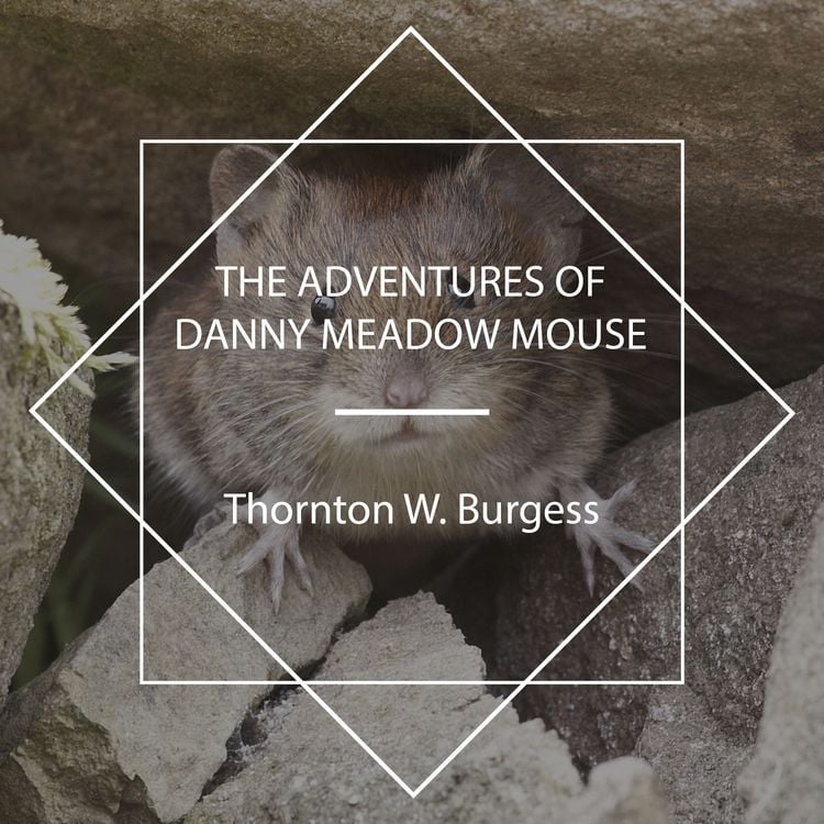 "The Adventures of Danny Meadow Mouse" als Hörbuch kaufen