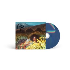 What Now von Brittany Howard auf CD - Musik | Thalia