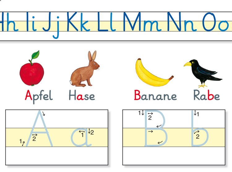 Fragenbär-Lerntafel: ABC-Tafel in der Grundschrift, 32 x 22,5 cm online ...