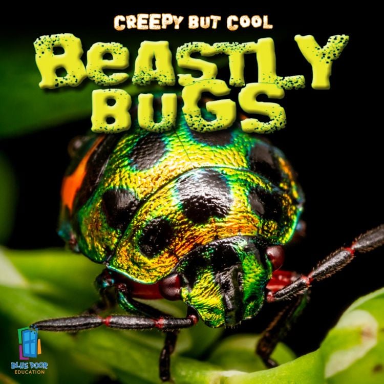 "Creepy but Cool Beastly Bugs" als Hörbuch kaufen