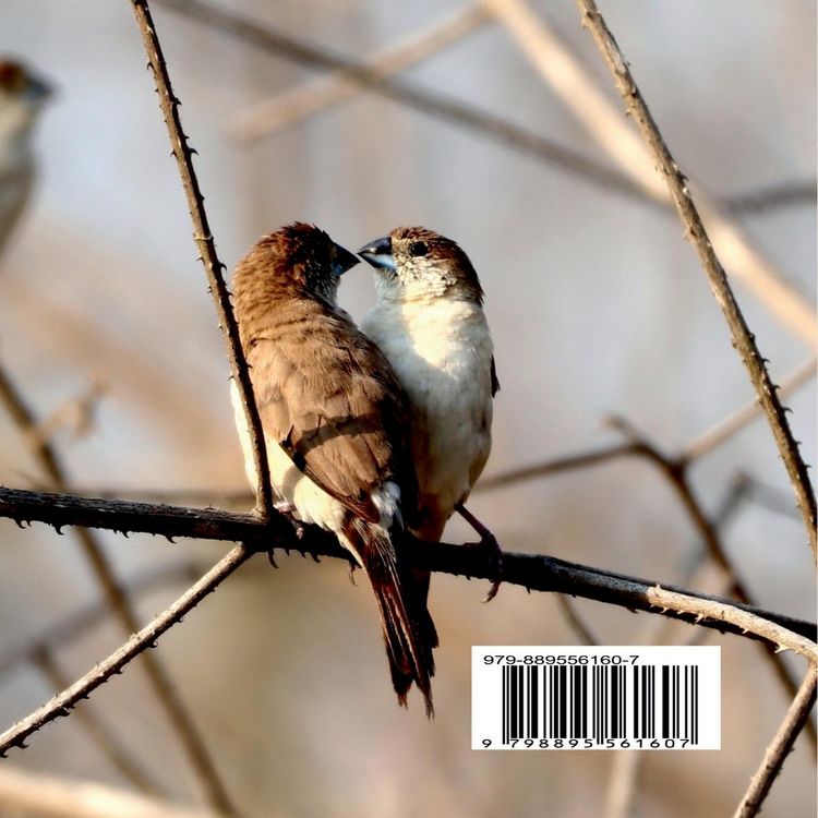 "Whispers in the bushes" auf Englisch kaufen