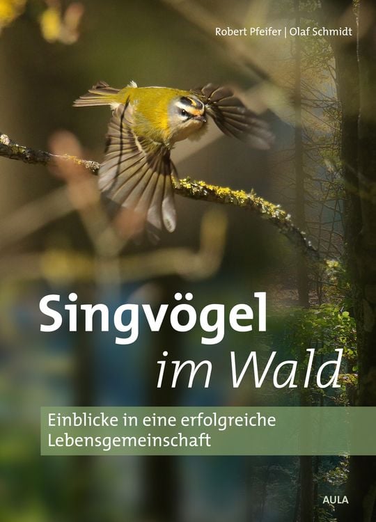 "Singvögel im Wald" online kaufen