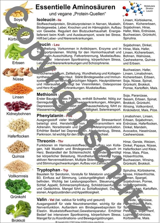 "Steuerzentren Wirbelsäule" online kaufen | Thalia