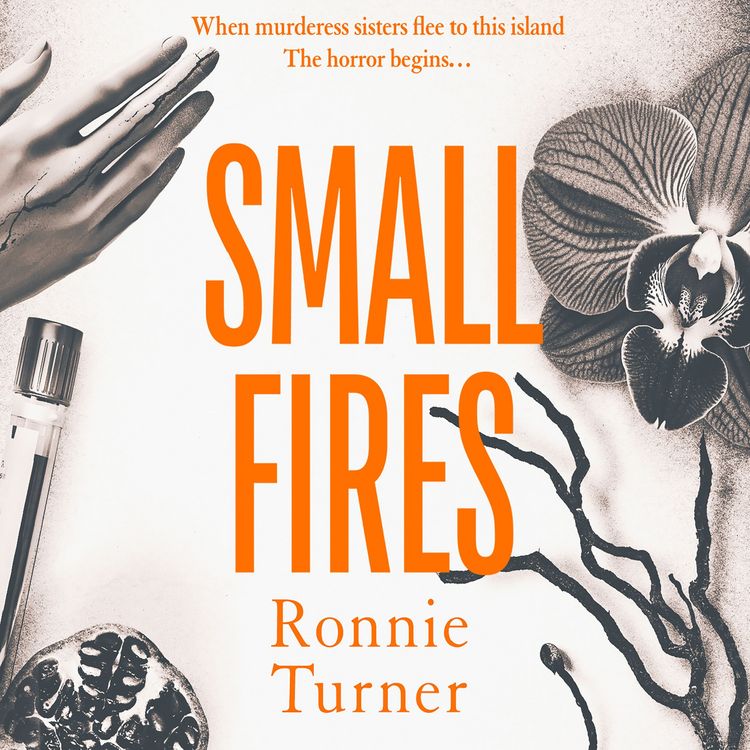 "Small Fires" als Hörbuch kaufen