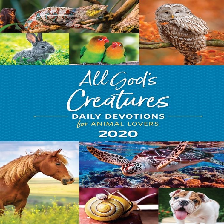 "All God's Creatures" als Hörbuch kaufen