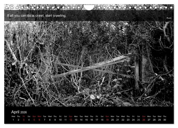 "Through the Gate with Rumi (Wall Calendar 2026 DIN A4 landscape ...