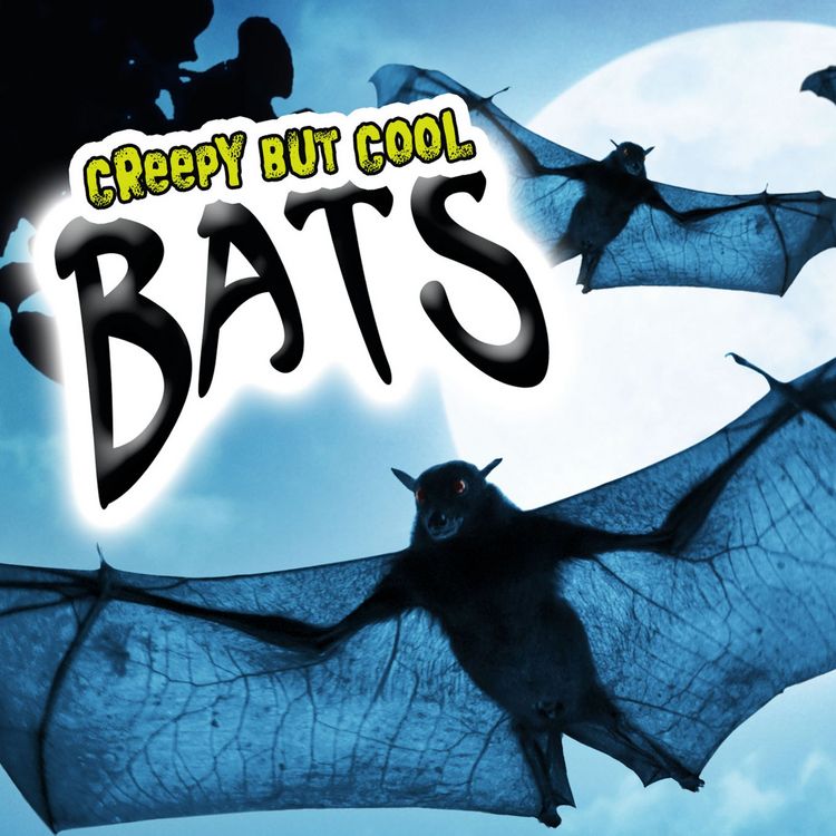 "Creepy but Cool Bats" als Hörbuch kaufen