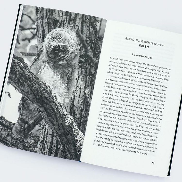 "Lebendige Nacht" online kaufen