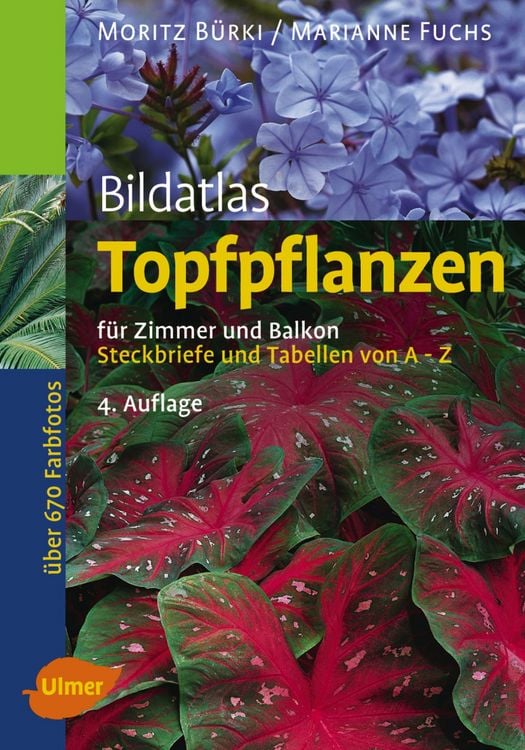 "Topfpflanzen" online kaufen