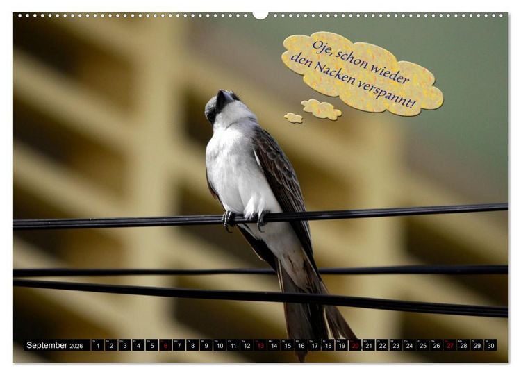 "Wenn Tiere sprechen könnten! Der lustige Sprüche Kalender ...