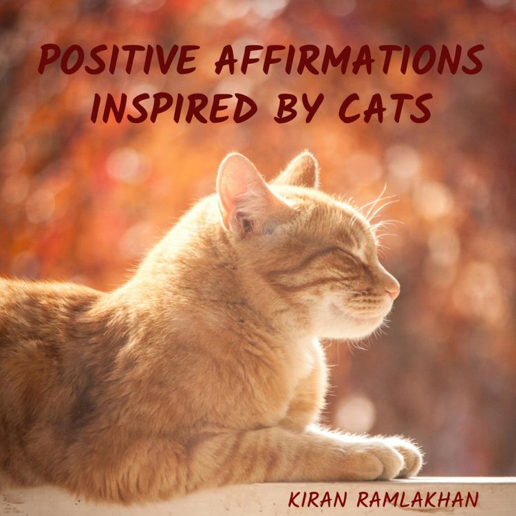 "Positive Affirmations Inspired by Cats" online kaufen