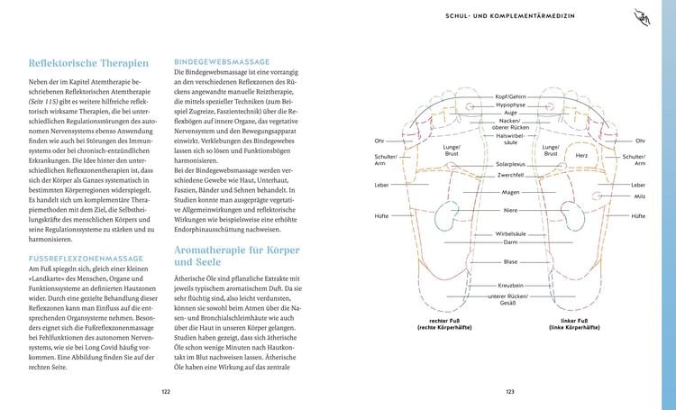 "Bandscheiben-Akut-Training" online kaufen