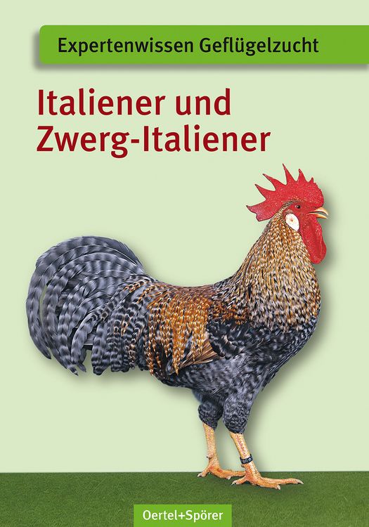 "Italiener und Zwerg-Italiener" bei bücher.de bestellen