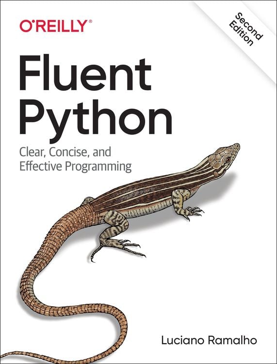 "Fluent Python" auf Englisch kaufen
