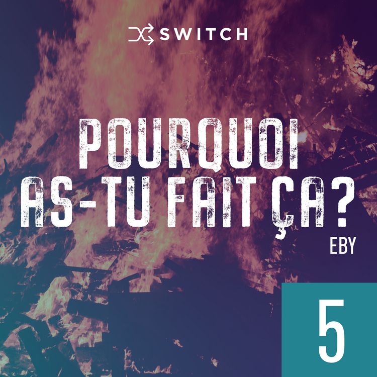"Pourquoi as-tu fait ça 5" als Hörbuch kaufen