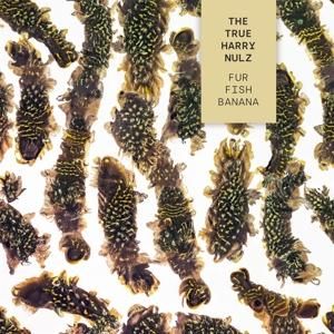 Fur Fish Banana von The True Harry Nulz auf CD - Musik | Thalia