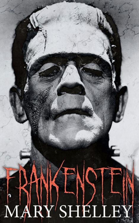 Frankenstein De Mary Shelley Romanbiografie über Mary Shelley