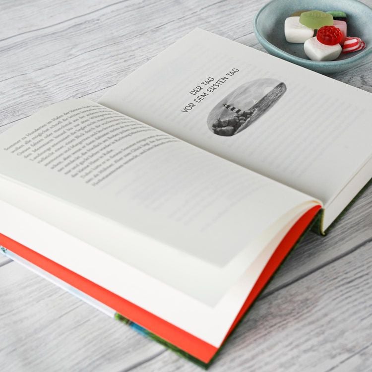 "Sommerby 1. Ein Sommer in Sommerby" online kaufen