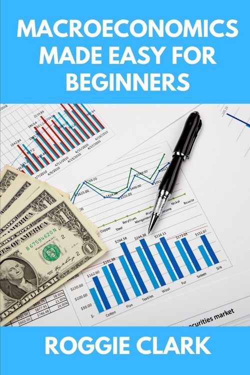 "Macroeconomics Made Easy For Beginners" auf Englisch kaufen