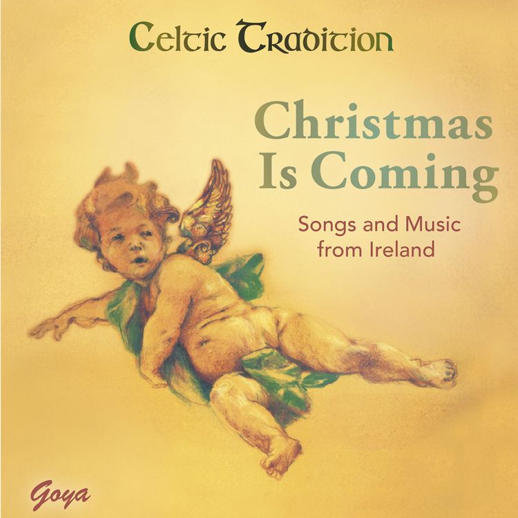 "Christmas Is Coming. Songs and Music from Ireland" als Hörbuch kaufen