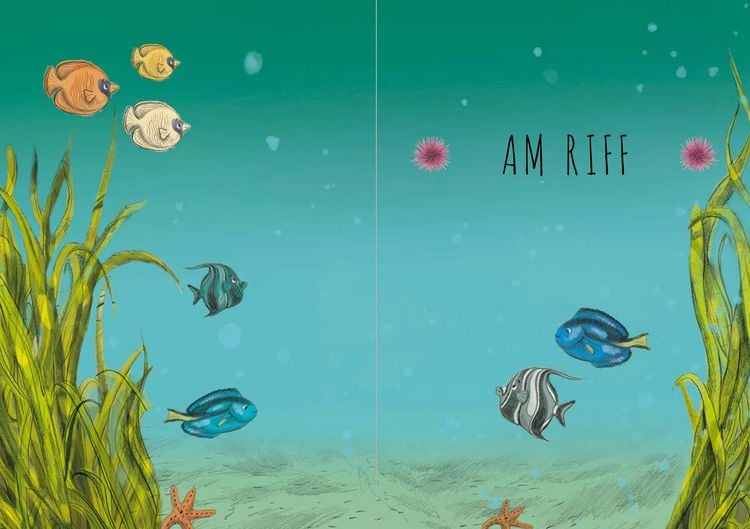 "Wunderwelt der Tiere im Meer" online kaufen