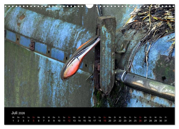 "ROSTLAUBEN Die schönsten Autowracks (Wandkalender 2026 DIN A3 quer ...