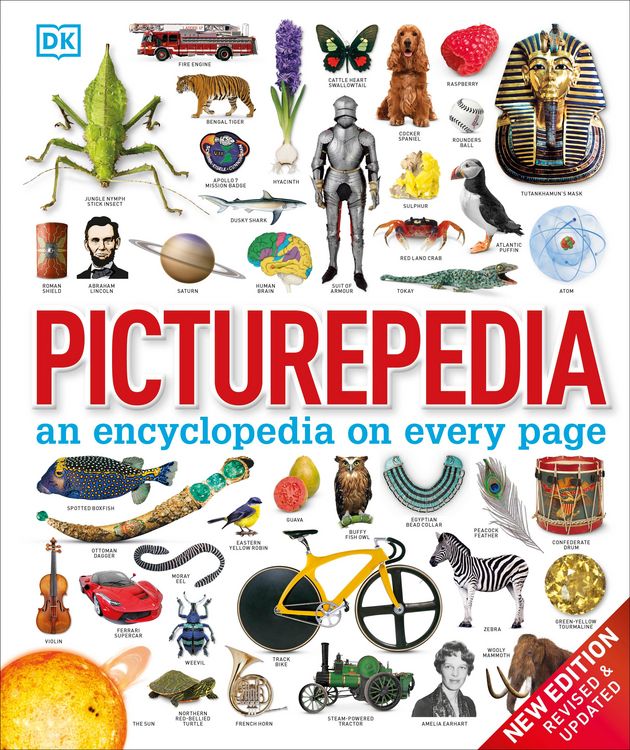 "Picturepedia" auf Englisch kaufen