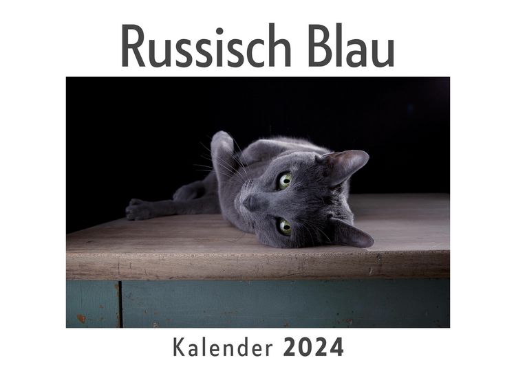 Russisch Blau (Wandkalender 2024, Kalender DIN A4 quer, Monatskalender ...
