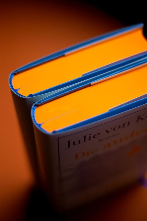 "Die andern sind das weite Meer" online kaufen