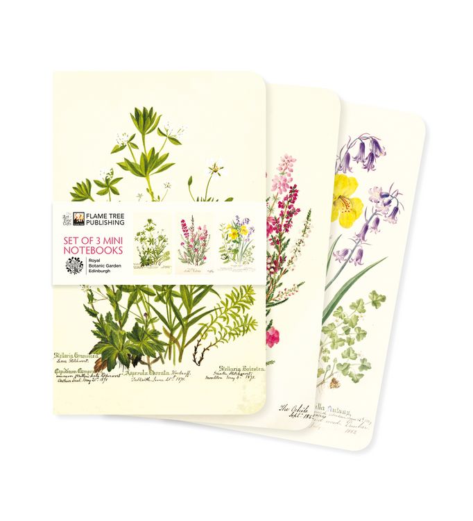 Kate Heiss Set of 3 Mini Notebooks von Flame Tree Publishing - Notizen ...
