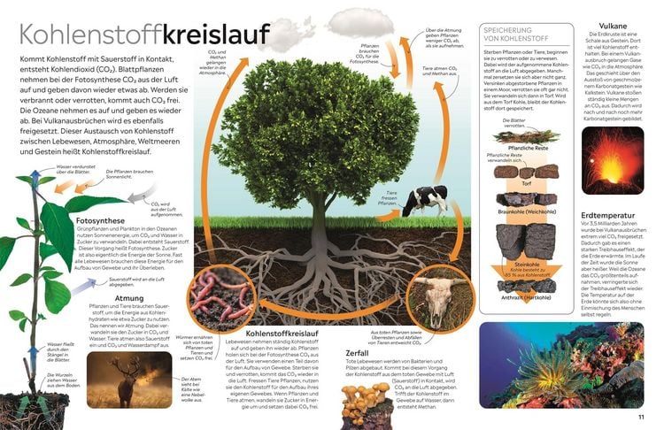 "Memo Wissen. Klimawandel" online kaufen