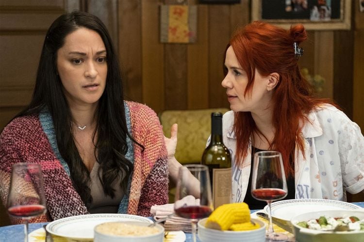 Resident Alien: Staffel Drei [2 DVDs] als DVD kaufen