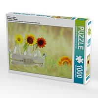 CALVENDO Puzzle Romantischer Schwarzwald 1000 Teile Lege-Größe 64 x 48 ...