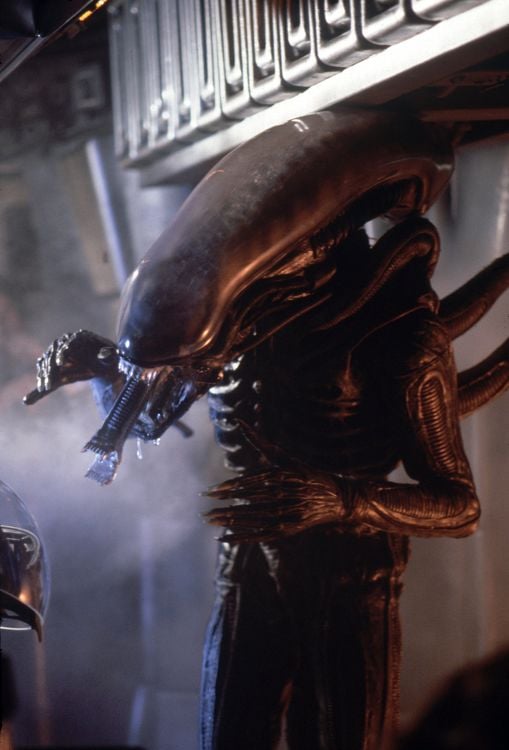 Alien 40th (4K Ultra HD) (+ Blu-ray 2D) als Blu-ray kaufen