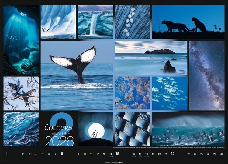 "Colours of Nature Kalender 2026" kaufen