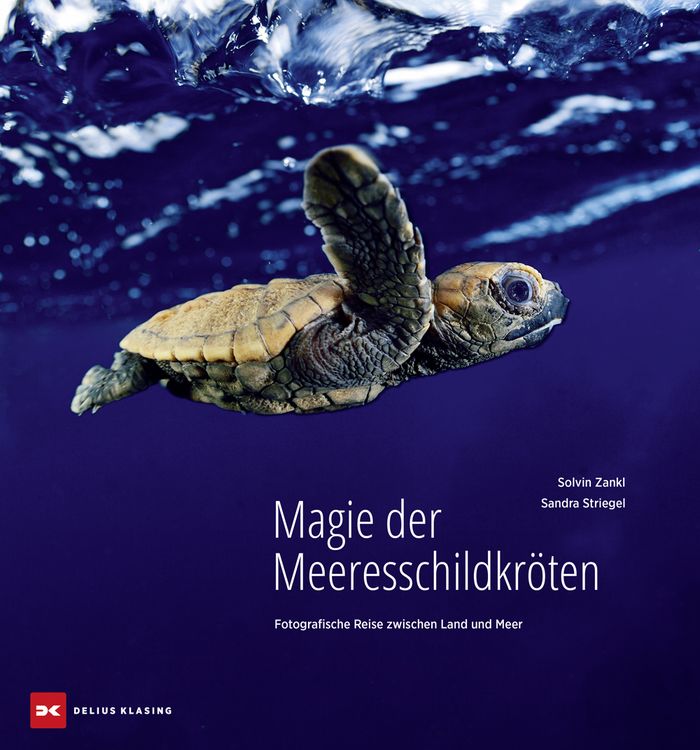 "Magie der Meeresschildkröten" online kaufen