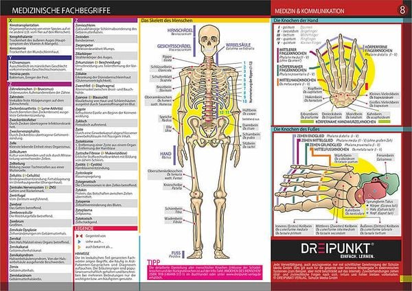 "Info-Tafel-Set Medizinische Fachbegriffe" online kaufen