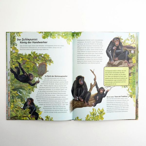 "Die Werkzeugkiste der Tiere" online kaufen