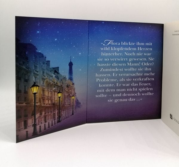 "Sommernächte in Paris" online kaufen