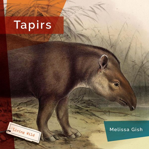 "Tapirs" auf Englisch kaufen