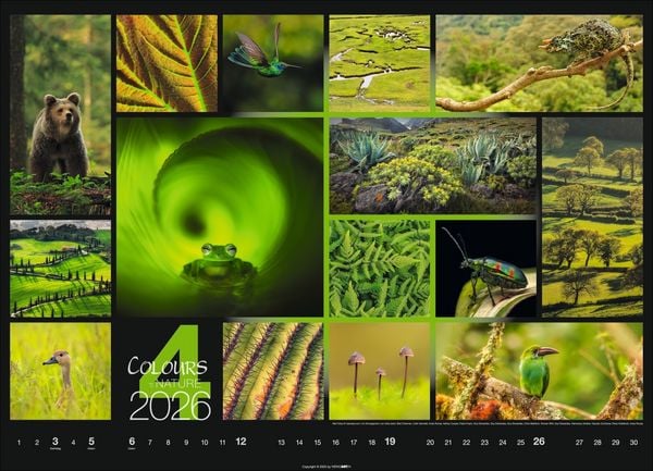 "Colours of Nature Kalender 2026" kaufen