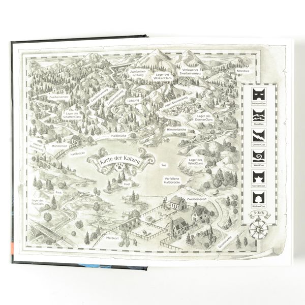 "Warrior Cats - Ein sternenloser Clan. Wolken" online kaufen